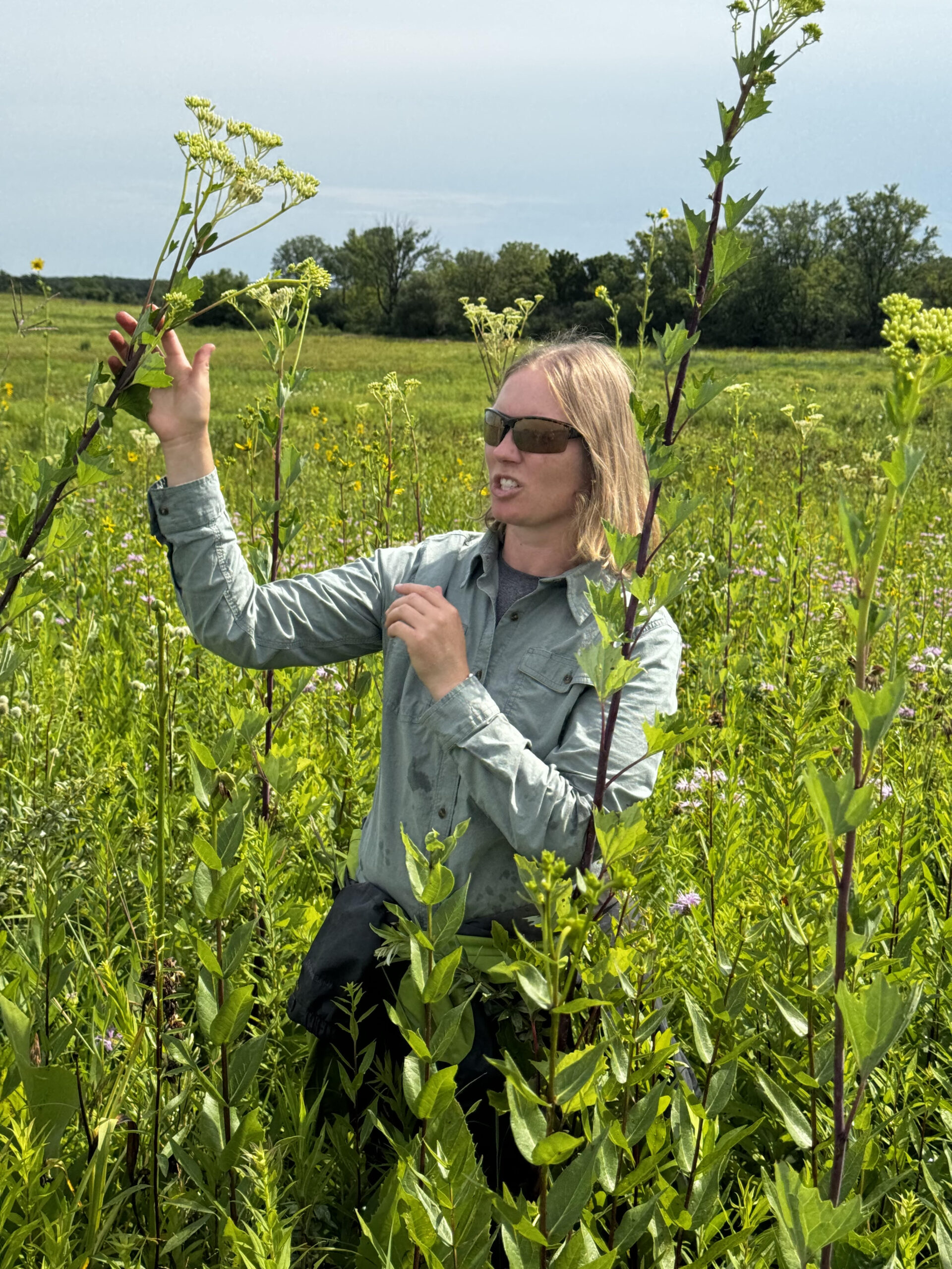 Annual Gathering 2024: Tribute to Schulenberg Prairie - Illinois Native ...
